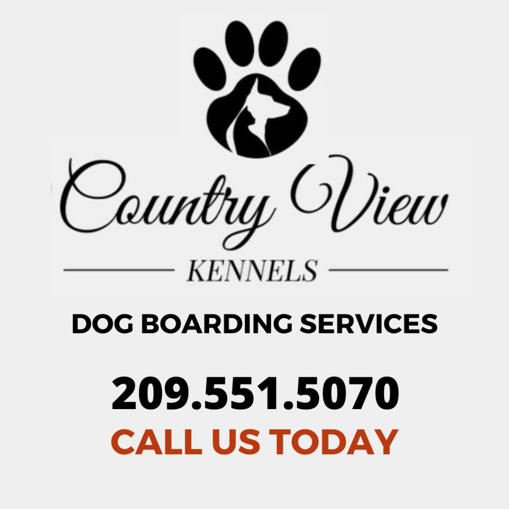 Dog Boarding
